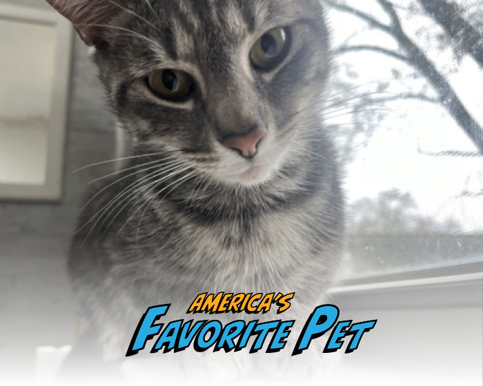 Rascal | America's Favorite Pet