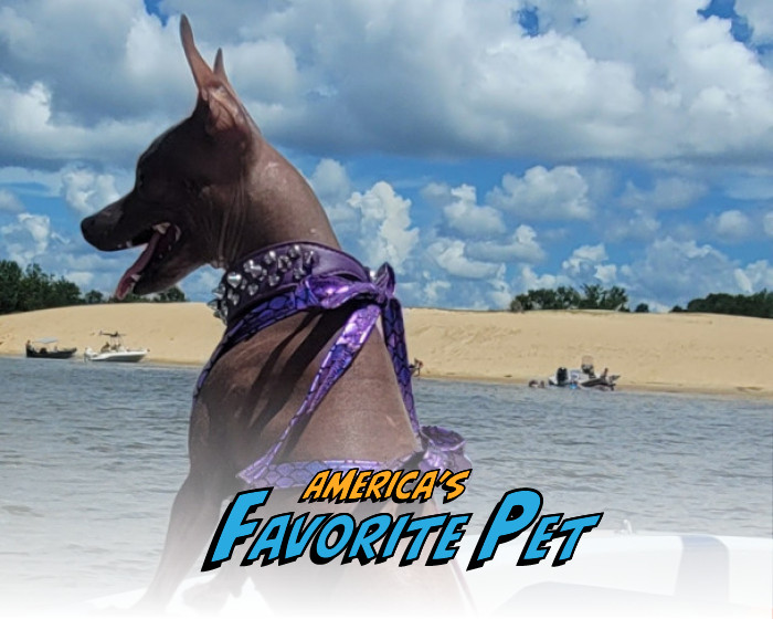 Ellie Mae | America's Favorite Pet