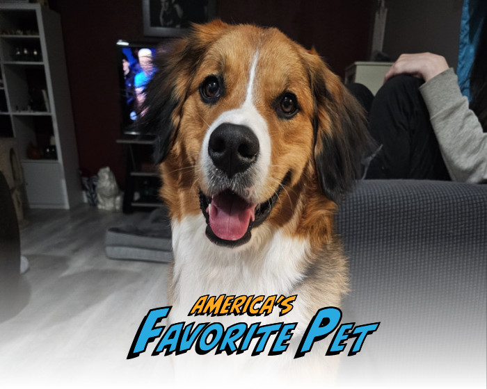 Gabi | America's Favorite Pet