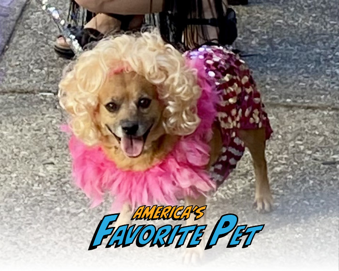 Ta-Lu-La | America's Favorite Pet