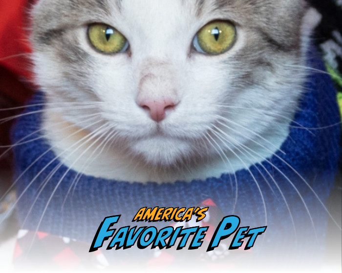 Prince Charming | America's Favorite Pet