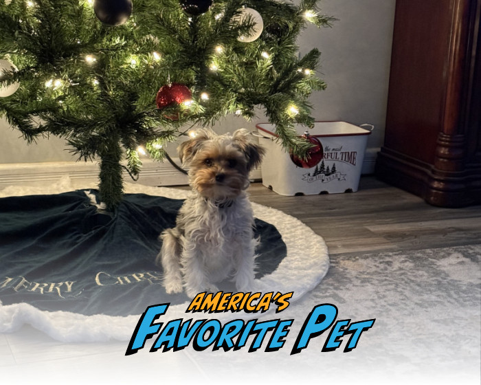 Milo | America's Favorite Pet