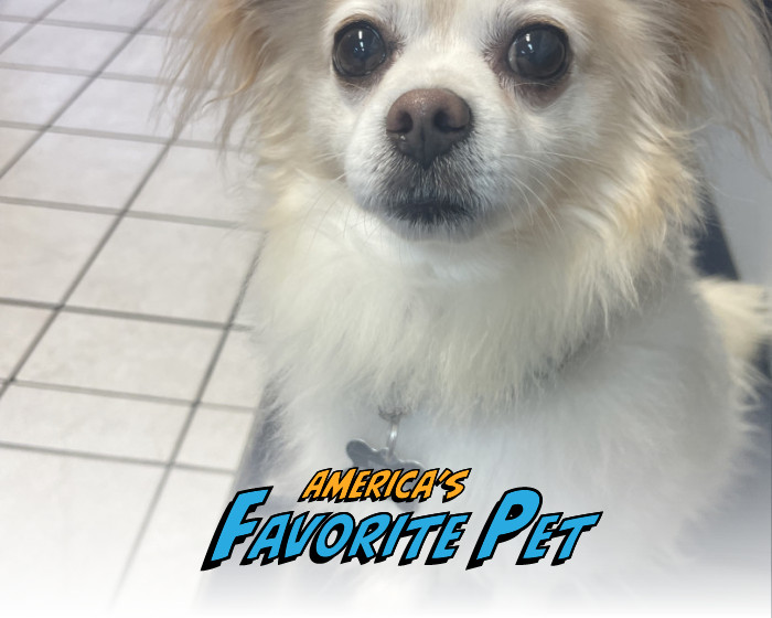 Tucker | America's Favorite Pet