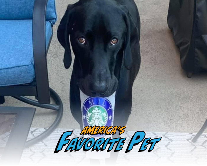 Reggie | America's Favorite Pet