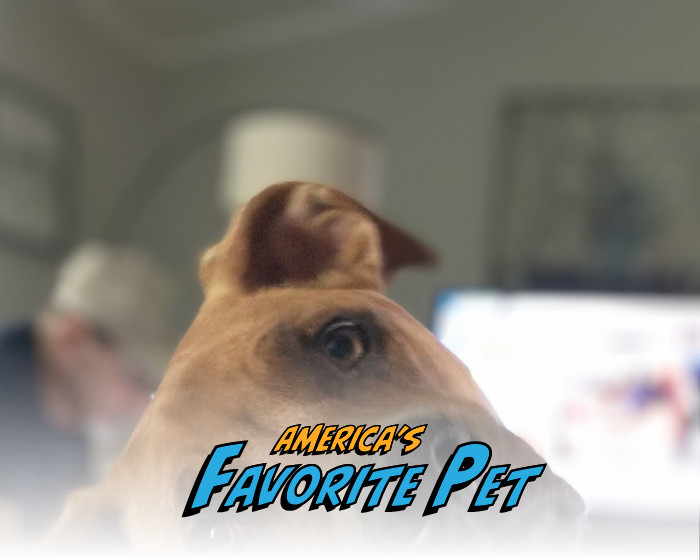 Ellie Mae | America's Favorite Pet