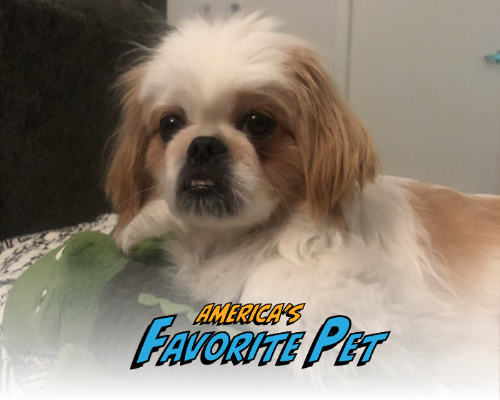 Bubbles | America's Favorite Pet