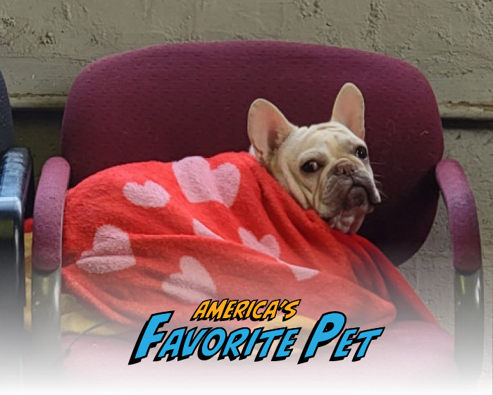 Ricky | America's Favorite Pet